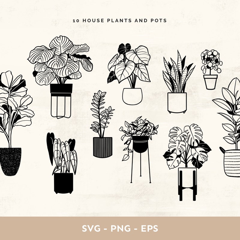 Abstract Houseplant Svg - Etsy UK
