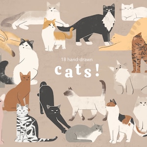 Cats Clipart Illustration, Cute and Elegant Kitty PNG, Kawaii Neko, Cat ...