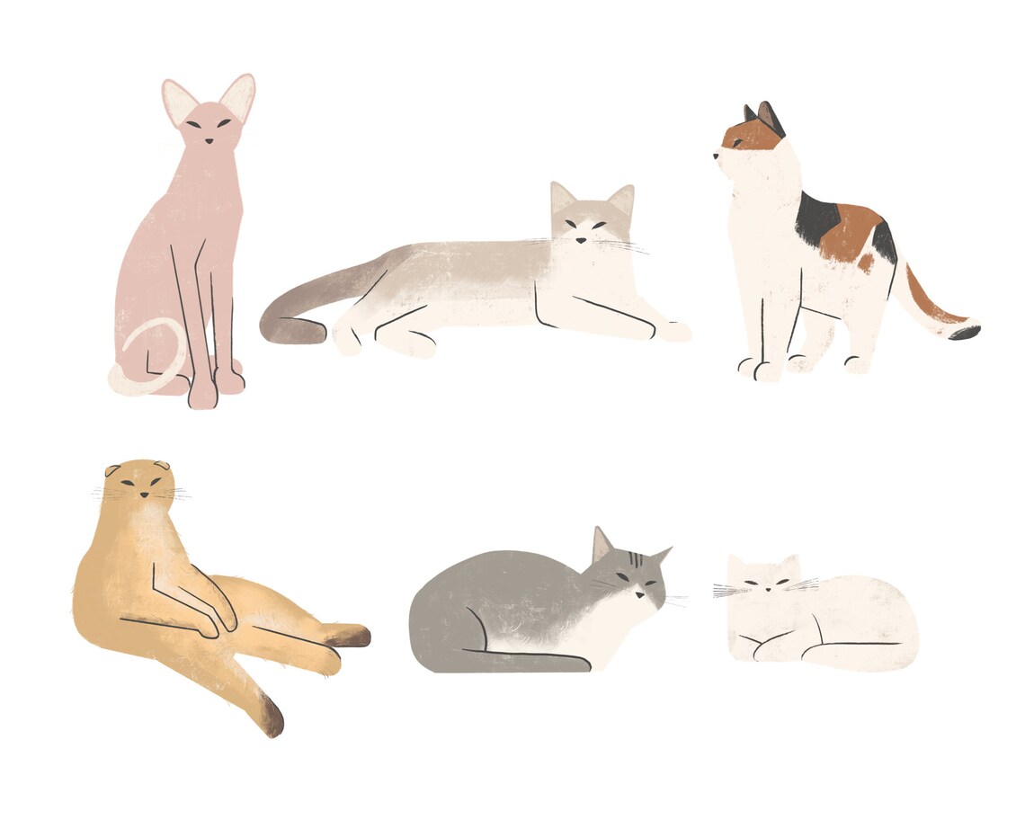 Cats Clipart Illustration, Cute and Elegant Kitty PNG, Kawaii Neko, Cat ...