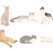 Cats Clipart Illustration, Cute and Elegant Kitty PNG, Kawaii Neko, Cat ...