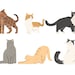 Cats Clipart Illustration, Cute and Elegant Kitty PNG, Kawaii Neko, Cat ...