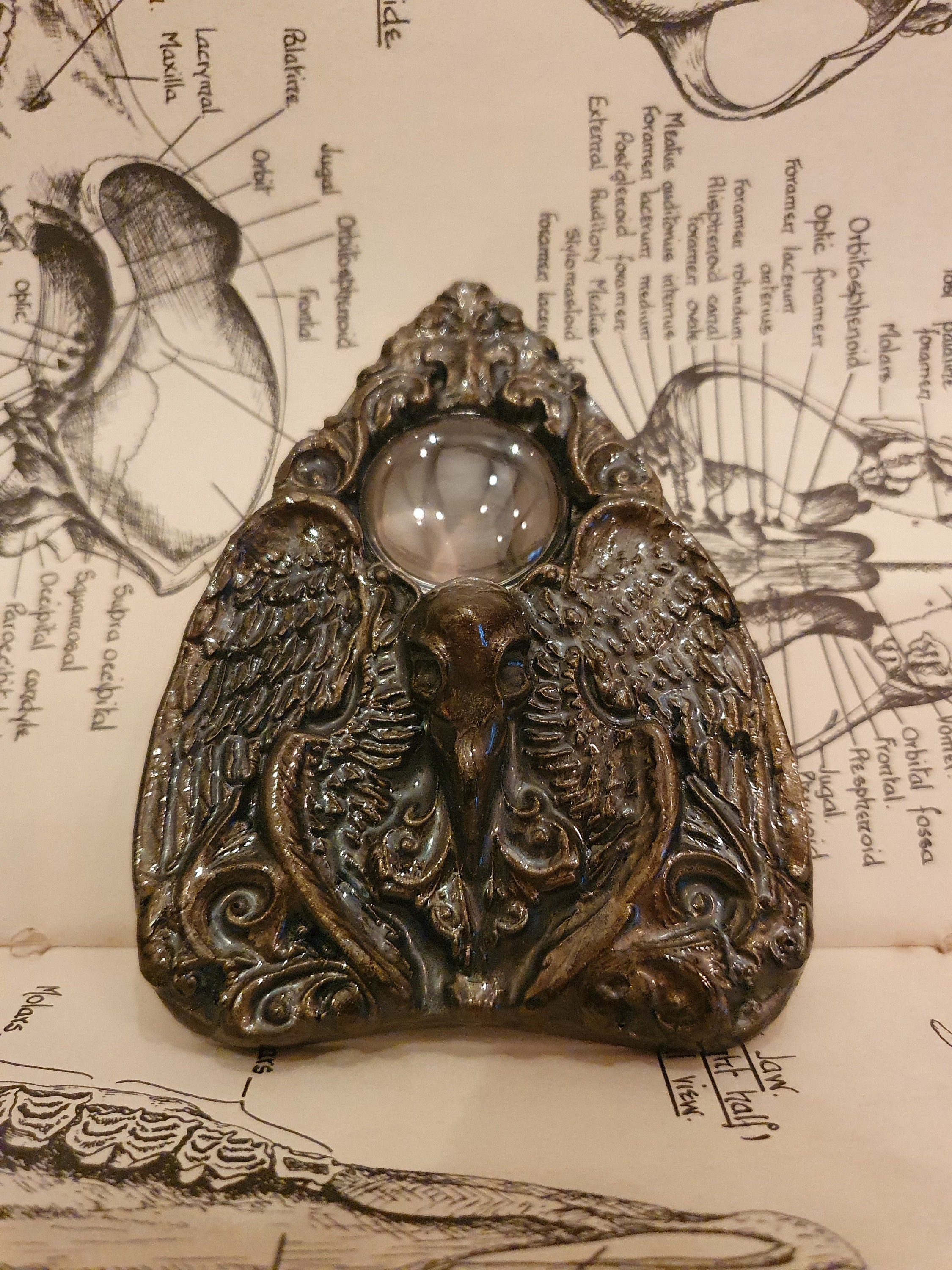 Hand Poured Ouija Planchette, Raven Bird Skull, Gothic Home Decor - Etsy
