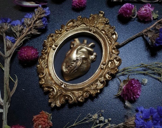 Framed Human Heart Anatomical Human Heart Oddity 3D Gothic Wall Art ...