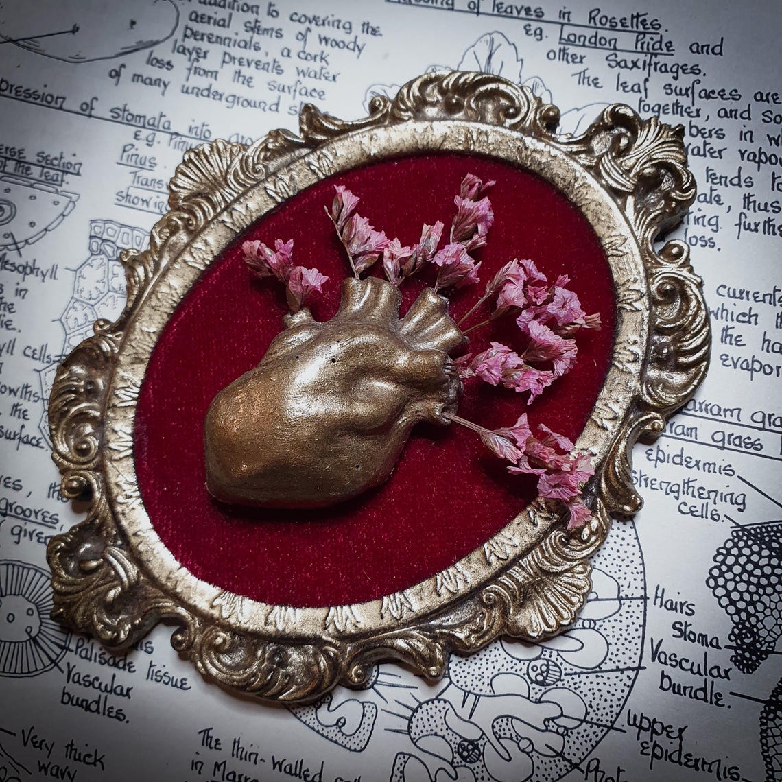 Floral Anatomical Heart Frame, Gothic Witchy Home Decor - Etsy