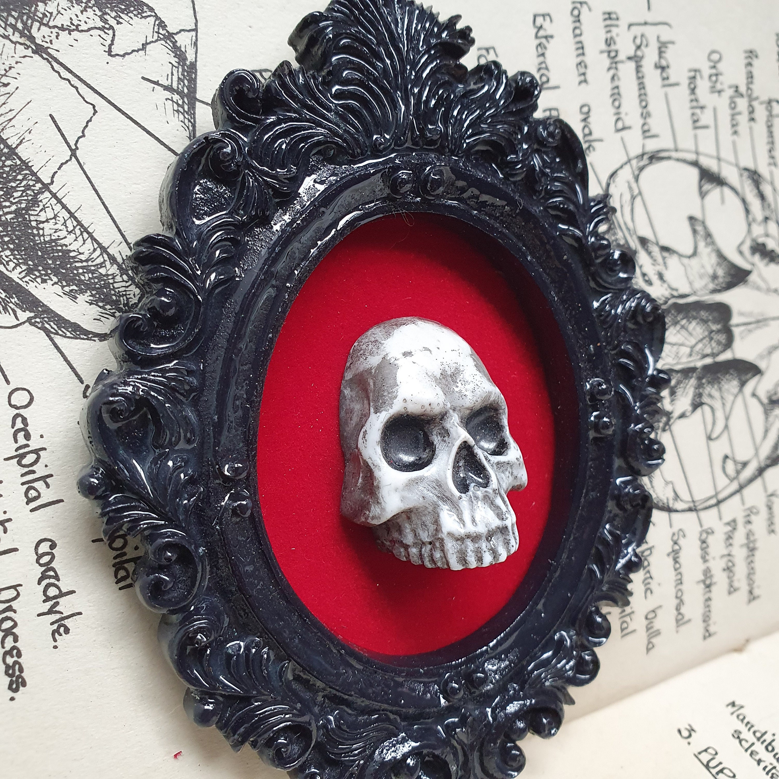 Mini Human Skull Frame Gothic Giftsbespoke Birthday Gifts - Etsy