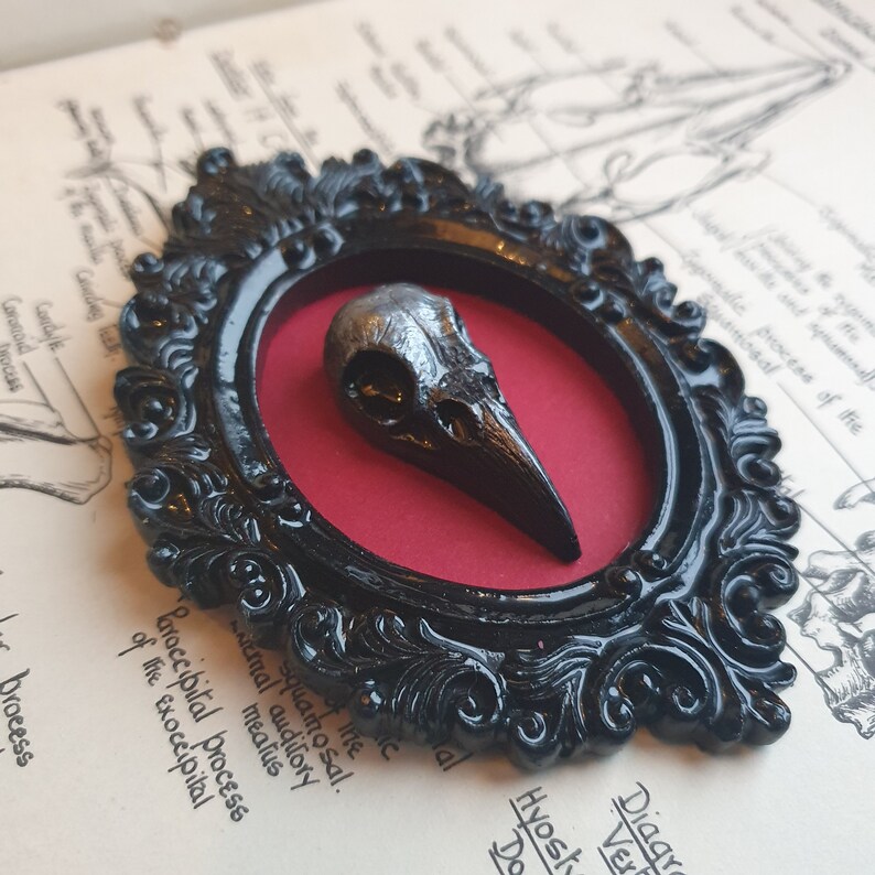Raven Skull Round Filigree Frame, Gothic Home Decor, the Crow Art ...