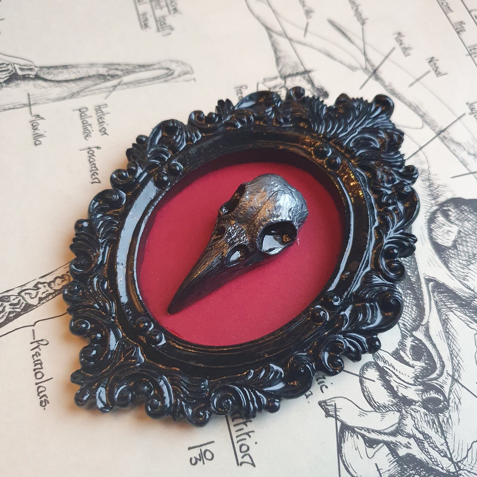 Raven Skull Round Filigree Frame // Gothic Home Decor the - Etsy
