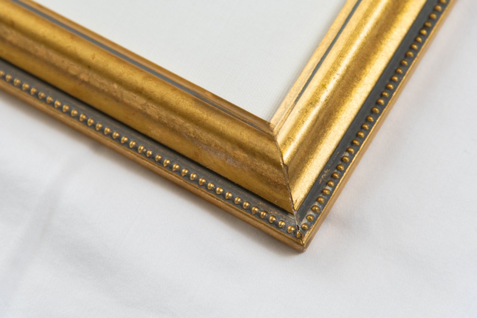 Custom Gilded Framed Remastered Vintage Floral Illustration Giclée With ...