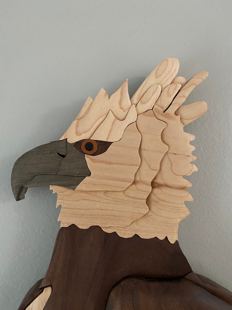 Harpy Eagle Intarsia - Etsy