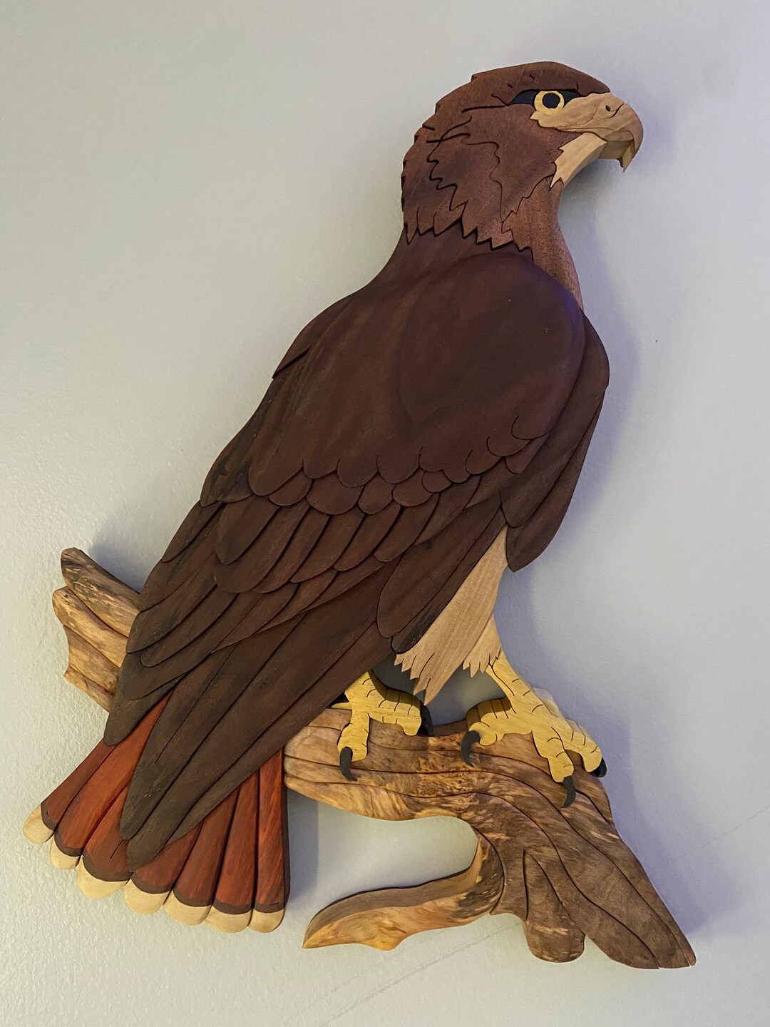 Red-tailed Hawk Intarsia - Etsy