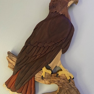 Red-tailed Hawk Intarsia - Etsy