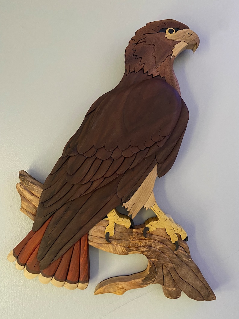 Red-tailed Hawk Intarsia - Etsy
