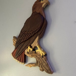 Red-tailed Hawk Intarsia - Etsy