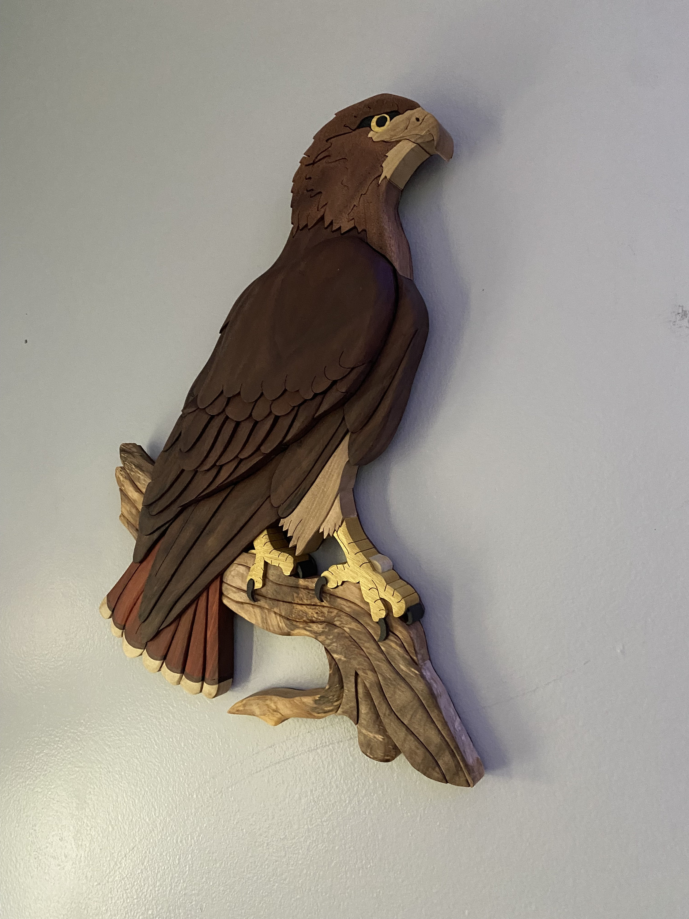 Red-tailed Hawk Intarsia - Etsy