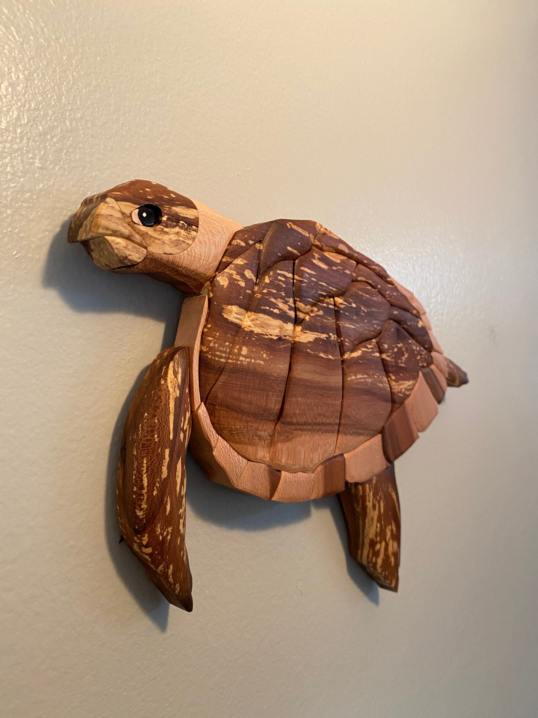 Sea Turtle Intarsia - Etsy