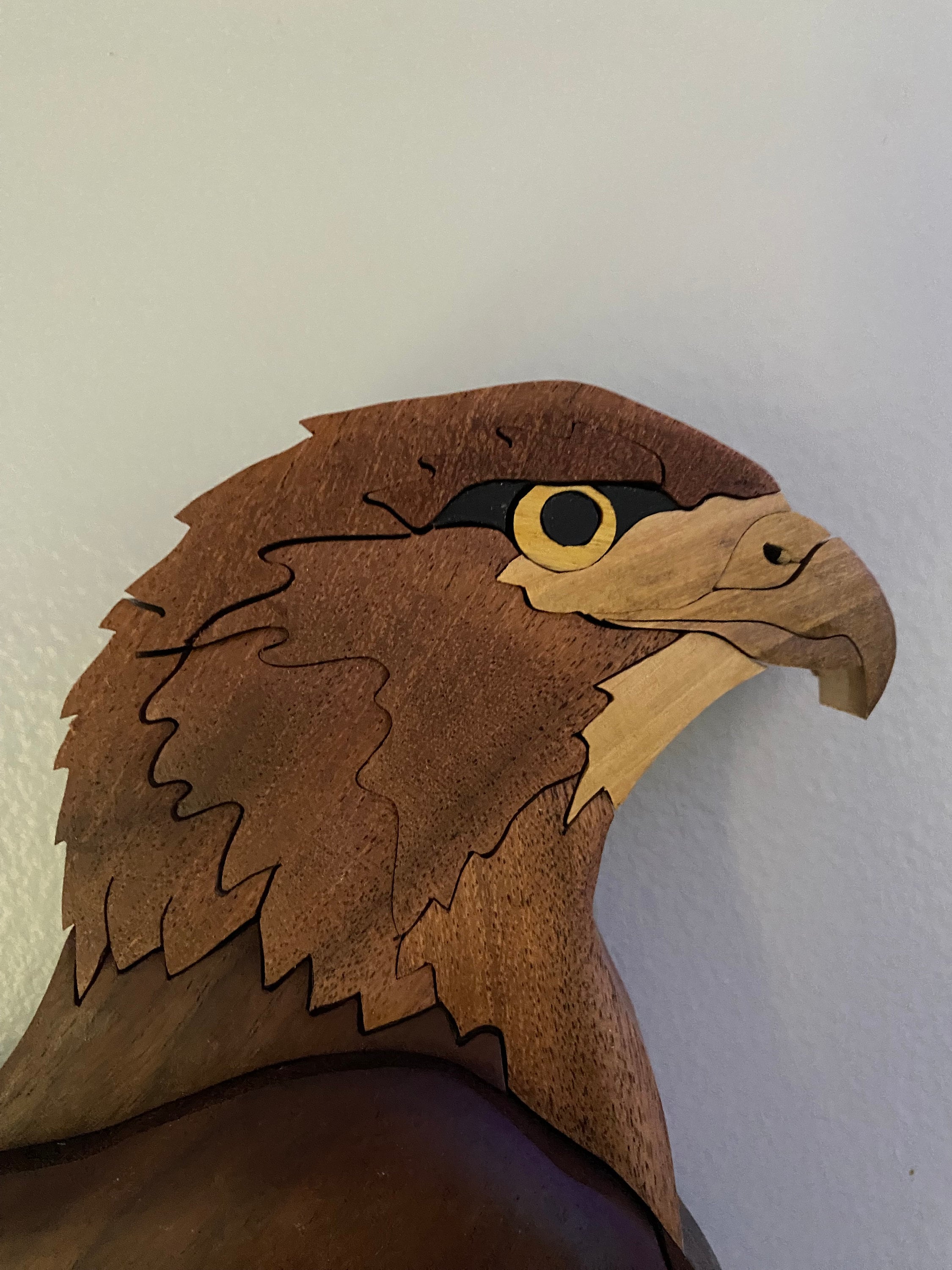 Red-tailed Hawk Intarsia - Etsy