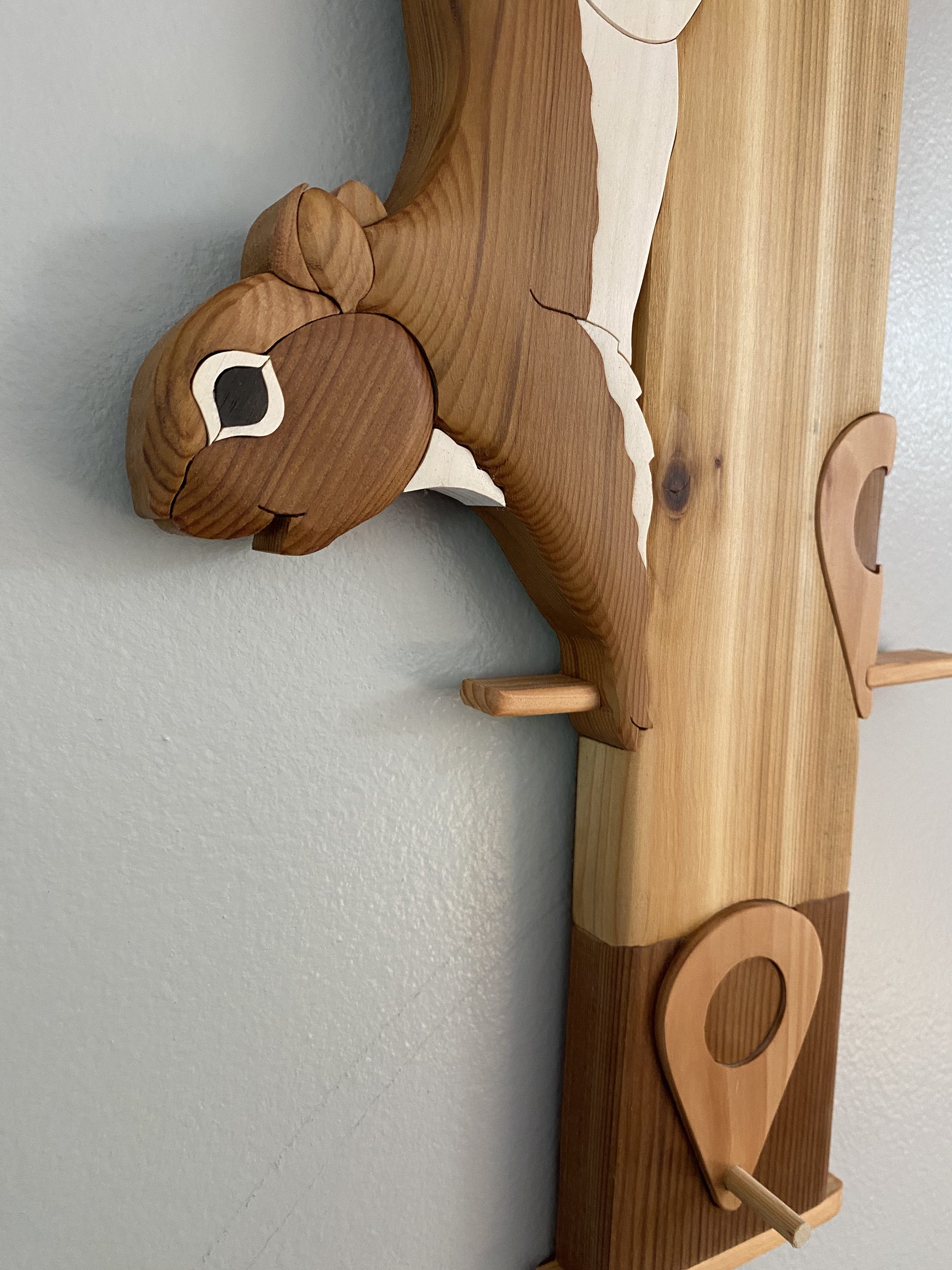 Squirrel Intarsia - Etsy