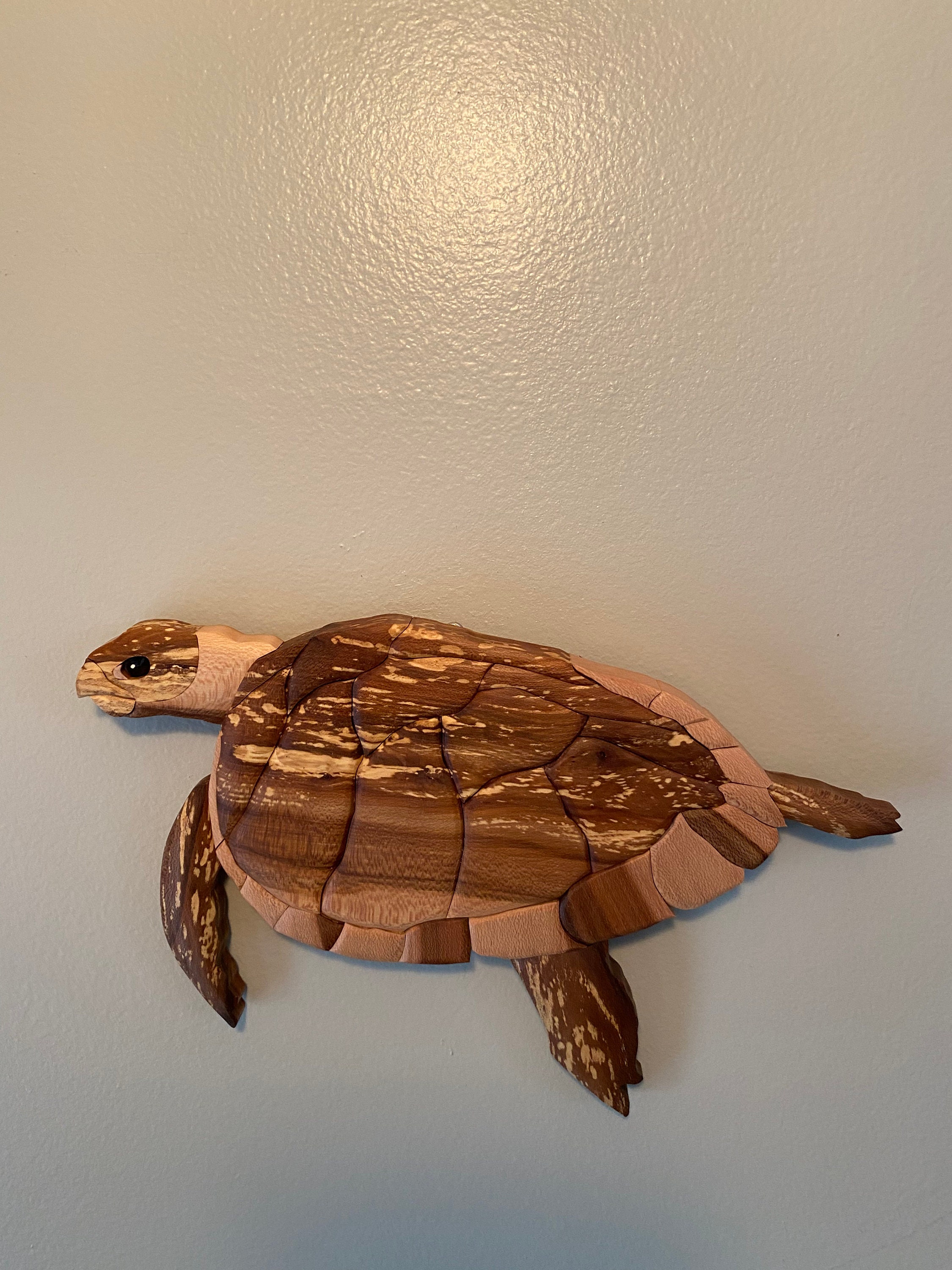 Sea Turtle Intarsia - Etsy