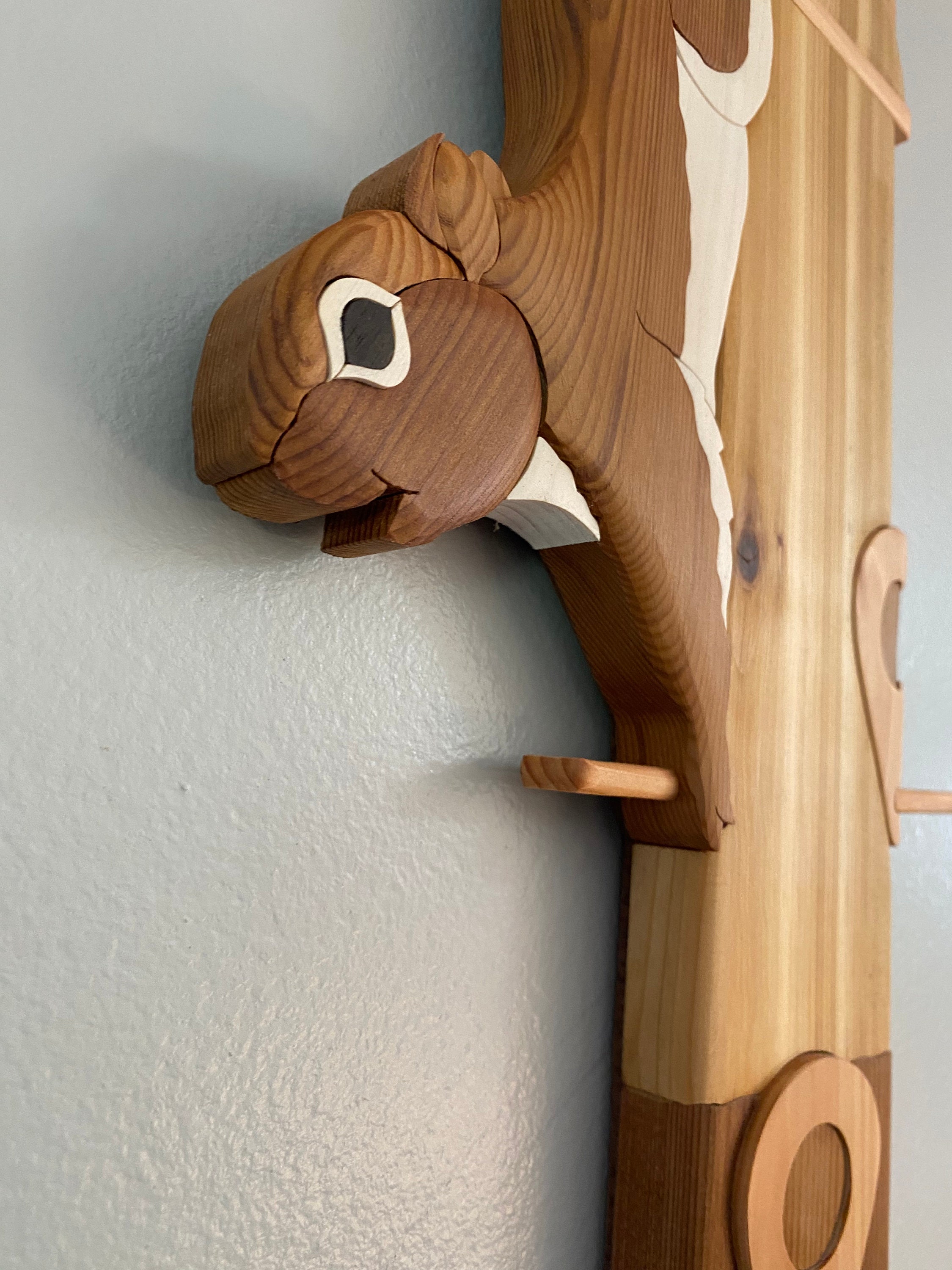 Squirrel Intarsia - Etsy