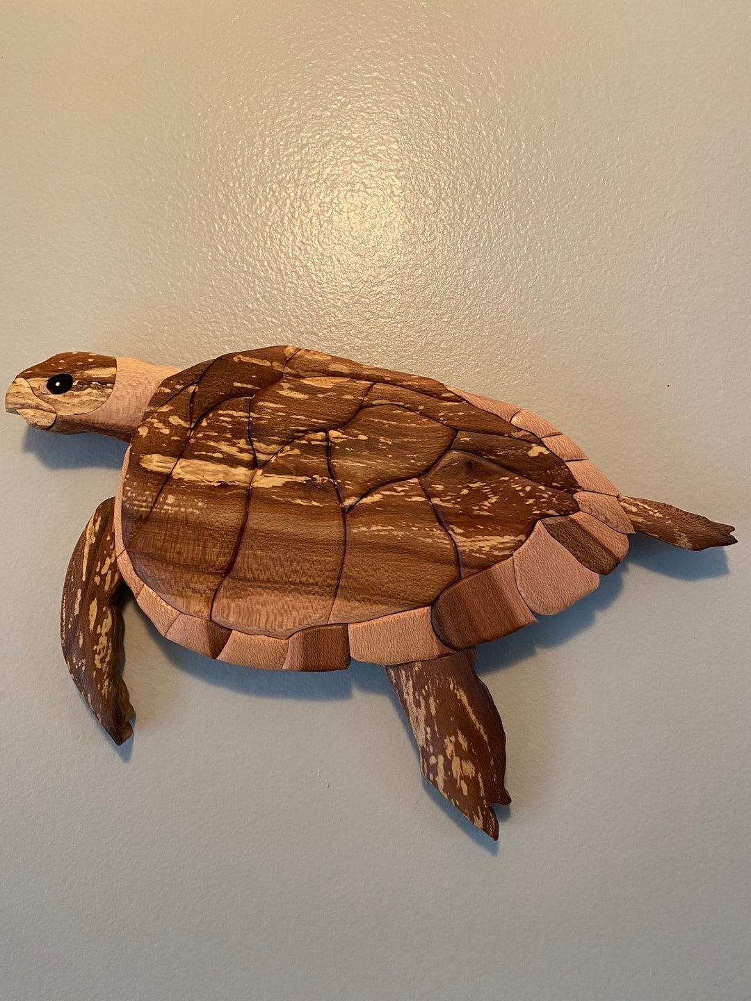 Sea Turtle Intarsia - Etsy