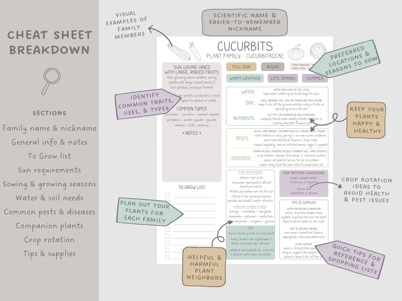 Plant Family Gardening Cheat Sheets | Printable & Digital (PDF, PNG) - Etsy