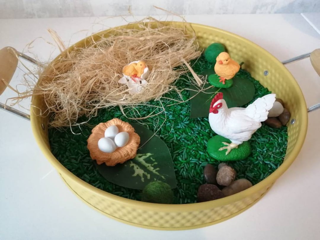 Chicken Life Cycle Sensory Set. Tray Play. Sensory Kit. - Etsy