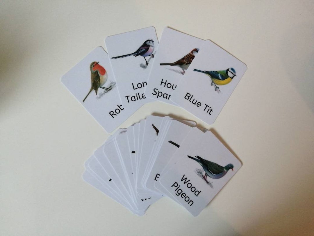 Bird Flashcards. Handmade. Learning Resource. Eyfs. Big British ...