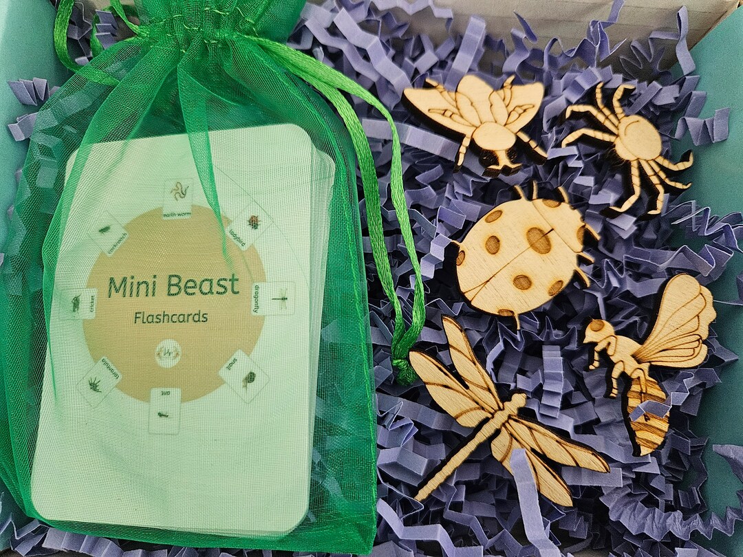 Minibeast Mini Gift Set. Minibeast Flashcards. Loose Parts. Tuff Tray ...