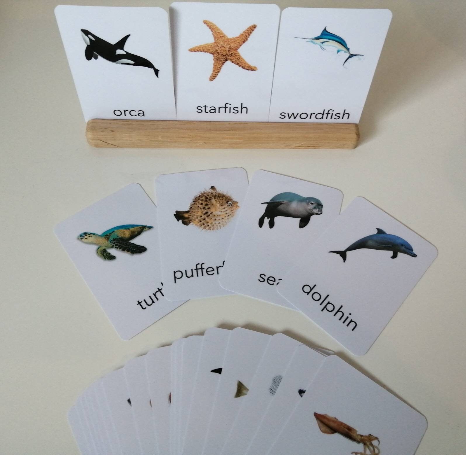 Ocean Creatures Flashcards. Under the Sea. Tray Play. Learning - Etsy UK
