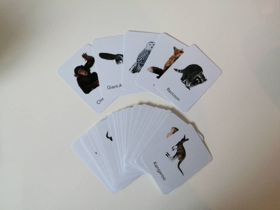 Wild Animal Flashcards. Learning Through Play. Eyfs. Learning Resource ...