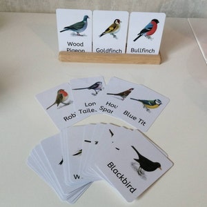 Bird Flashcards. Handmade. Learning Resource. Eyfs. Big British ...