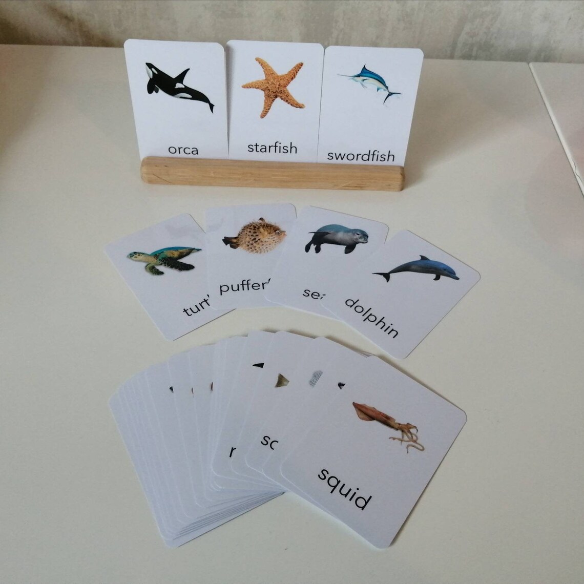 Ocean Creatures Flashcards. Under the Sea. Tray Play. Learning | Etsy UK