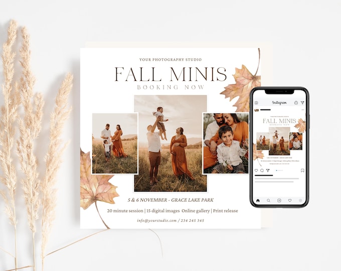 Canva Fall Mini Session Instagram Story Templates for Photography ...
