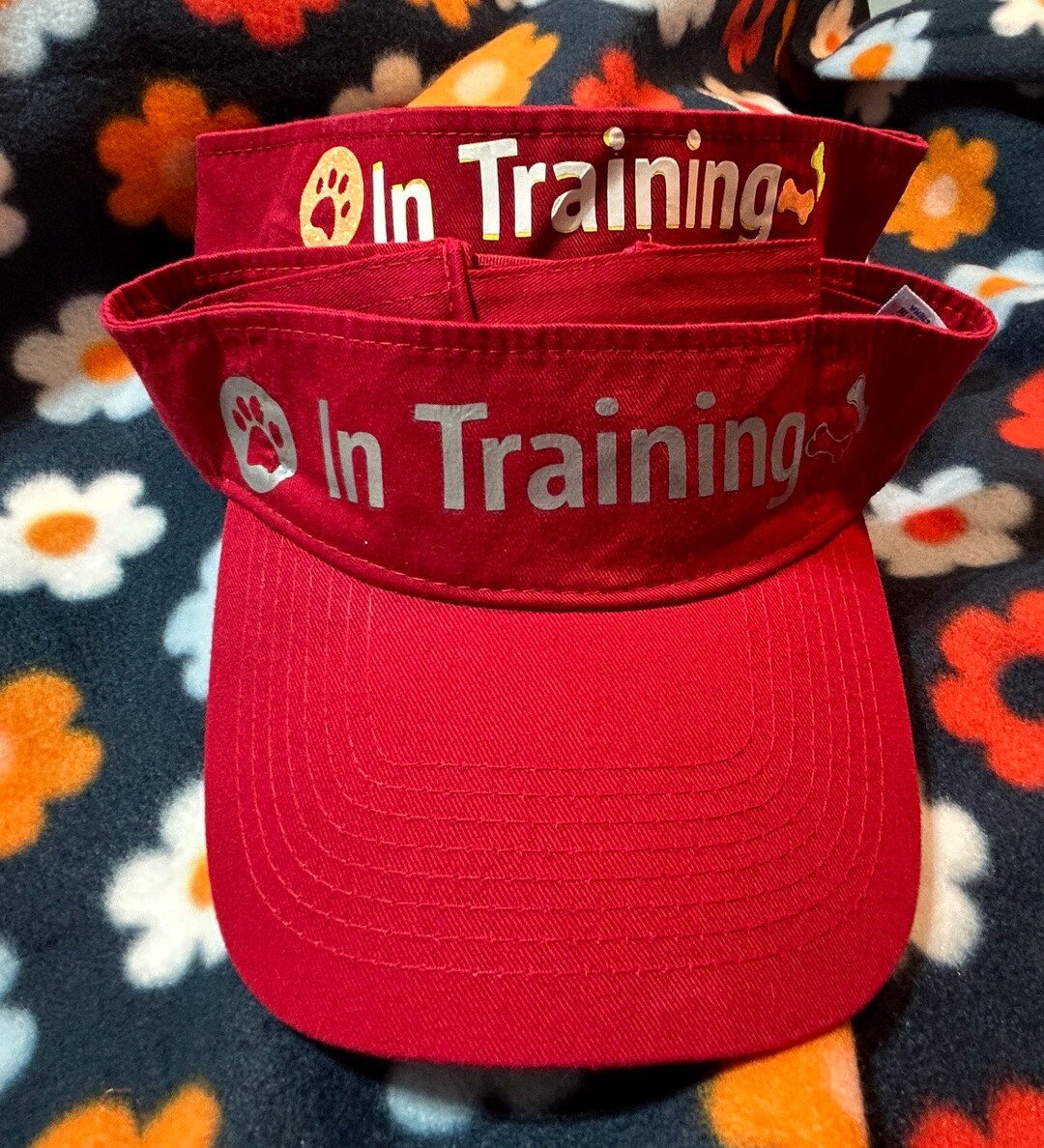 Visible IN TRAINING Sign on Sun Visor - Etsy