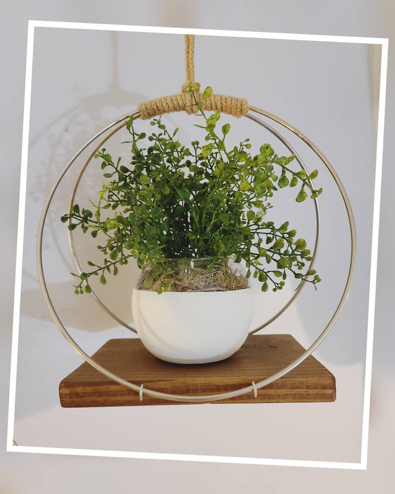 Hanging Ring Shelf With Planter - Etsy