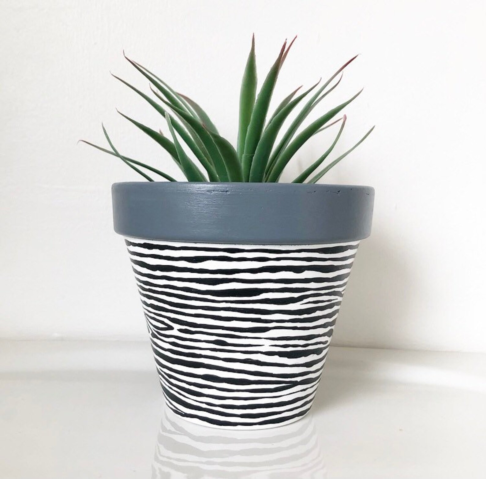 Zebra print grey zebra plant pot terracotta plant pot zebra | Etsy
