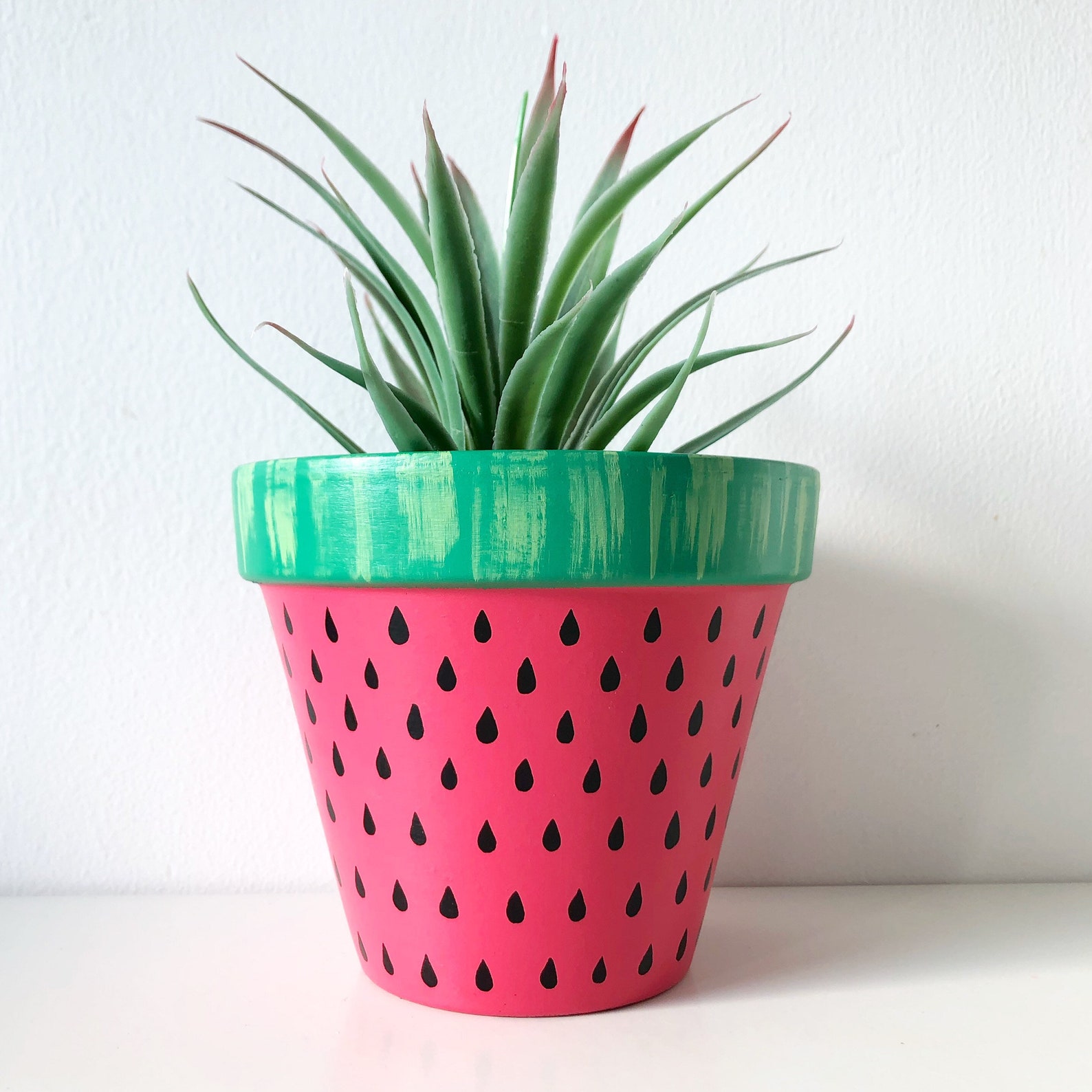 Watermelon Fruit Plant Pot Planter Hand Painted Terracotta - Etsy