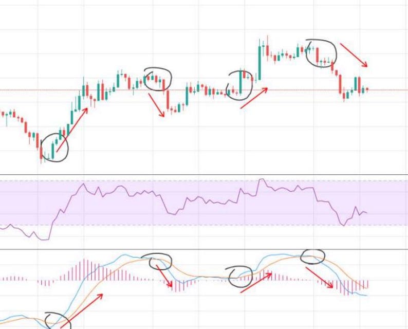 RSI & MACD Mastery: A Comprehensive Guide to Technical Indicators - Etsy