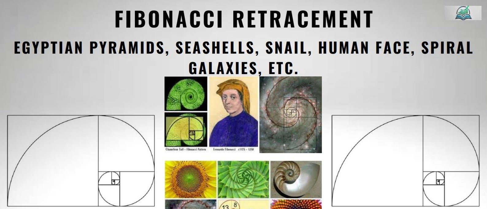 Fibonacci Expansion Guide a Step by Step Resource for Beginners and ...