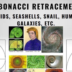 Fibonacci Expansion Guide a Step by Step Resource for Beginners and ...