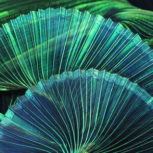 Shiny Ruffle Pleated Fabric Stiff Texture Fabric for Performance ...