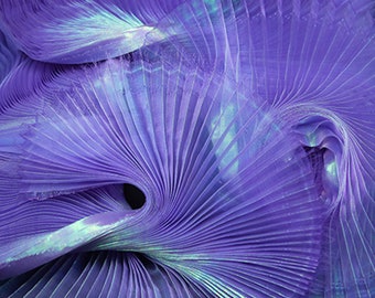 Texture Ruffle Fabric - Etsy