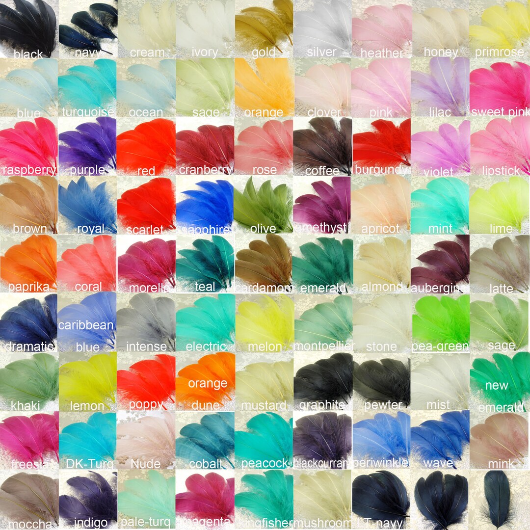 Loose Goose Feather Natural Poultry Plumes Assorted Colored - Etsy