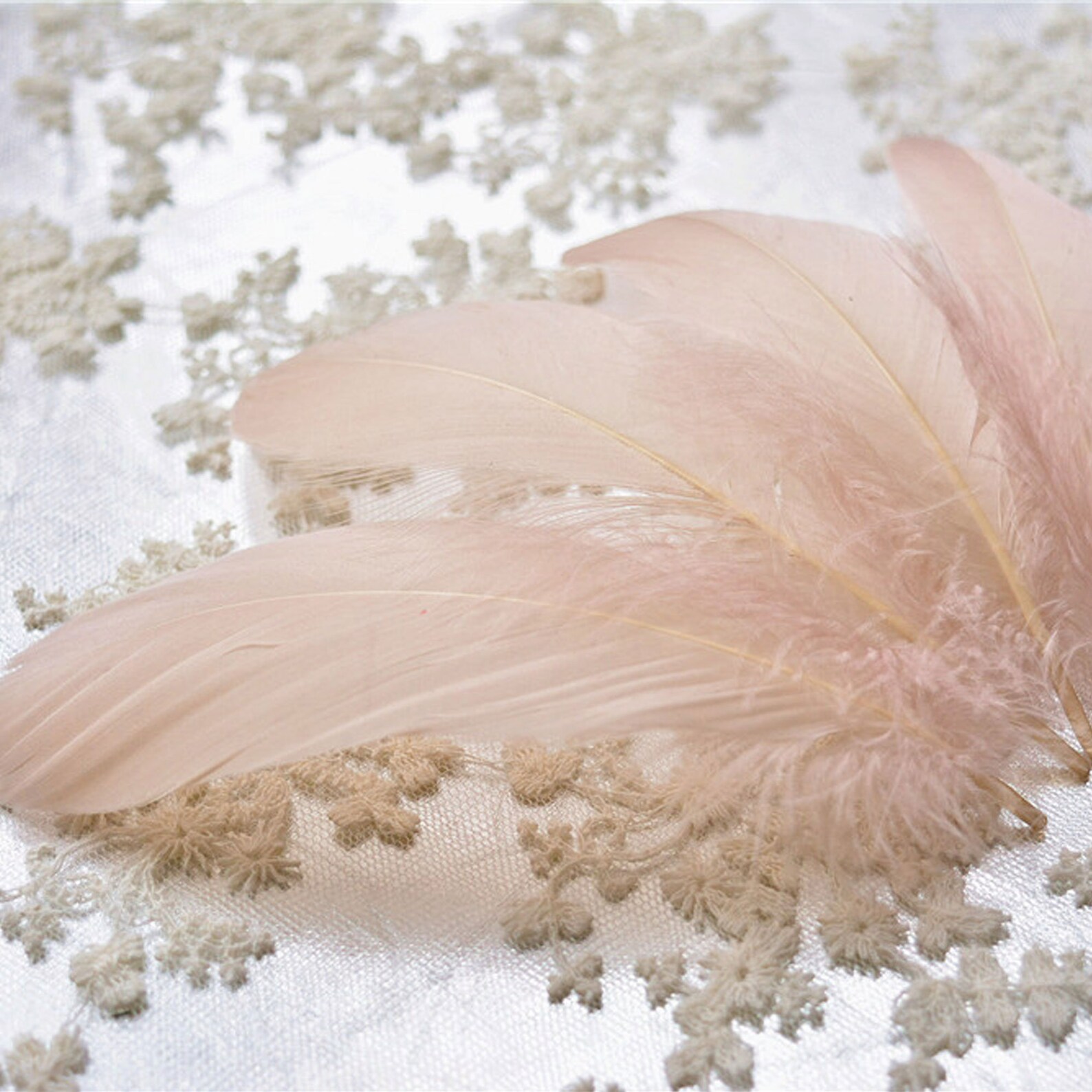 80 Colors Loose Goose Feather Poultry Feathers Wedding Party Bulk ...