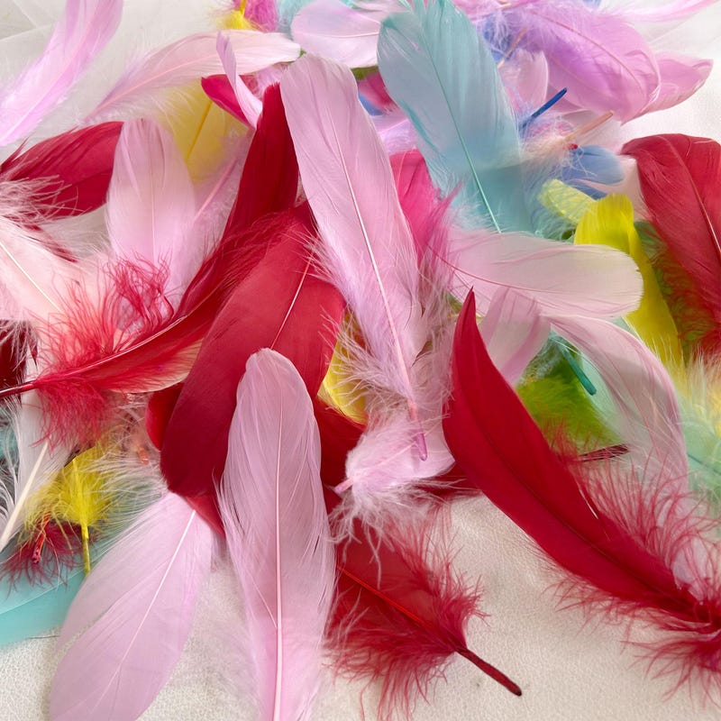 Goose Feathers - Etsy