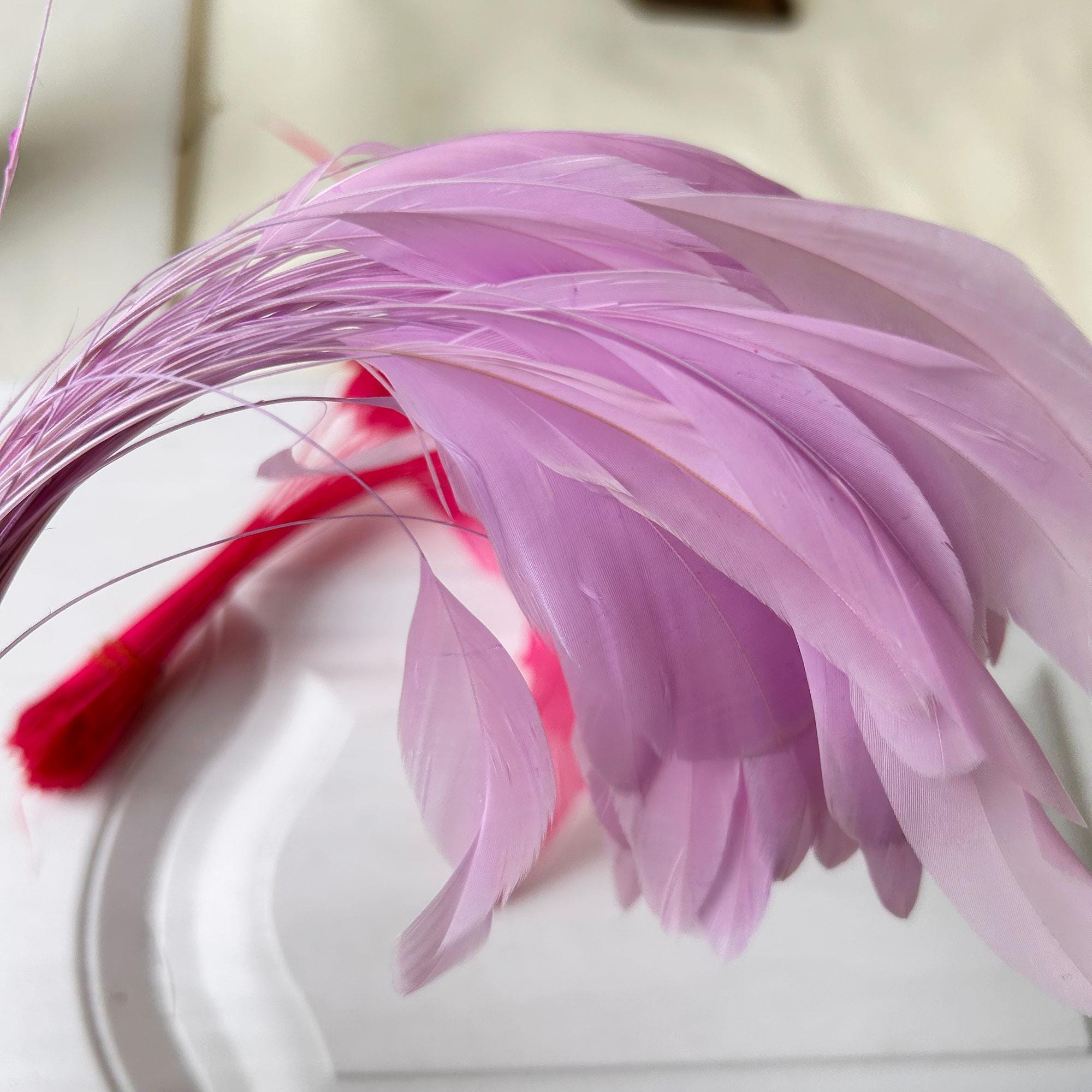 7.1'' Stripped Coque Feathers Assorted Color Millinery Feathers for ...