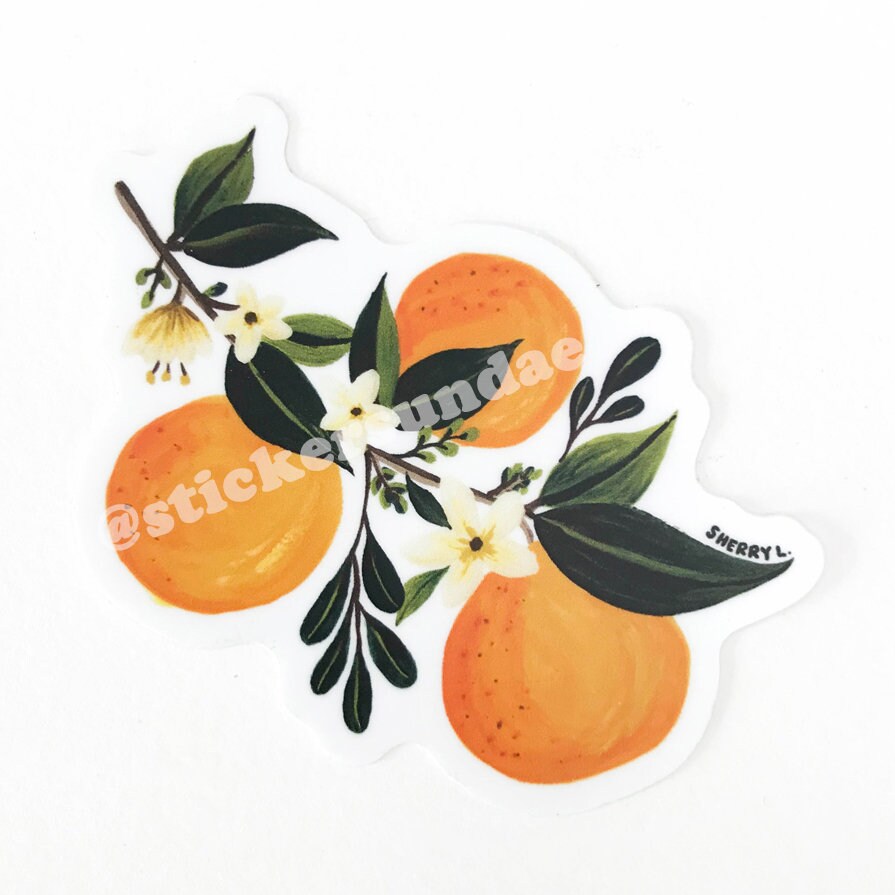 Orange Blossom Vinyl Sticker Citrus Fruit Waterproof Die Cut | Etsy