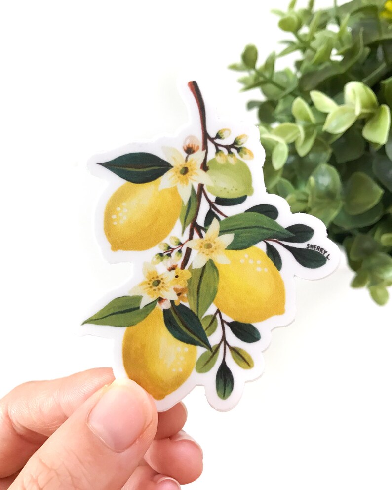 Lemon Blossom Vinyl Sticker Citrus Fruit Waterproof Die Cut | Etsy