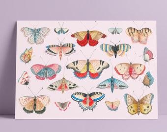 Pink Butterfly Butterfly Butterfly Print Pink Butterfly - Etsy Canada