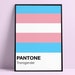 Transgender Print Transgender Pride Flag LGBT Pride Flag Trans Print ...